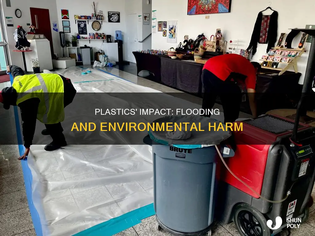 Plastics' Impact: Flooding And Environmental Harm | ShunPoly