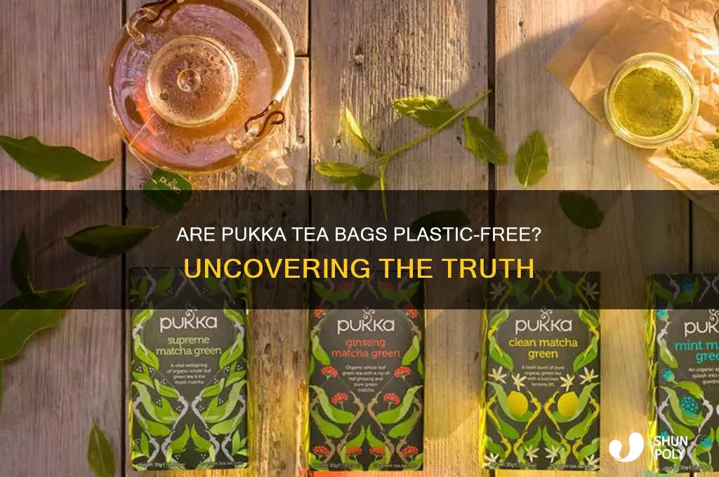 Are Pukka Tea Bags Plastic-Free? Uncovering The Truth | ShunPoly