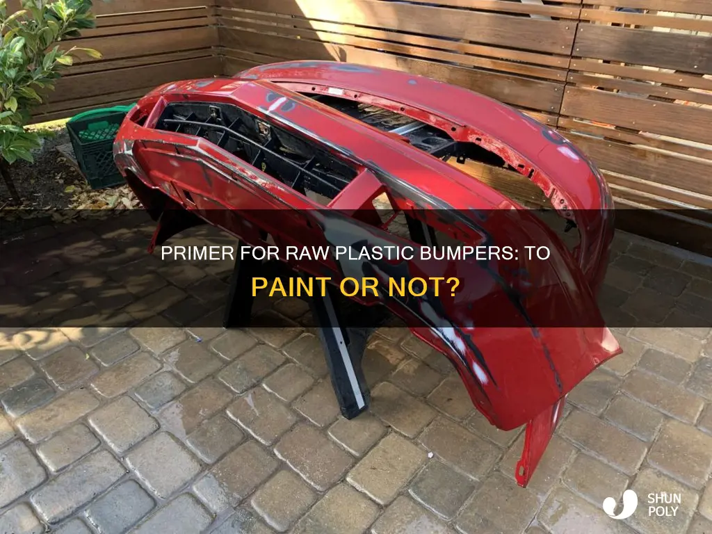 Primer For Raw Plastic Bumpers: To Paint Or Not? | ShunPoly