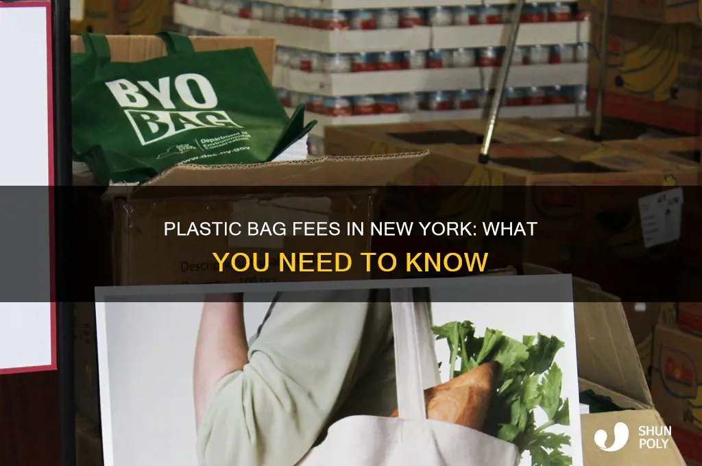 Plastic Bag Fees In New York: What You Need To Know | ShunPoly