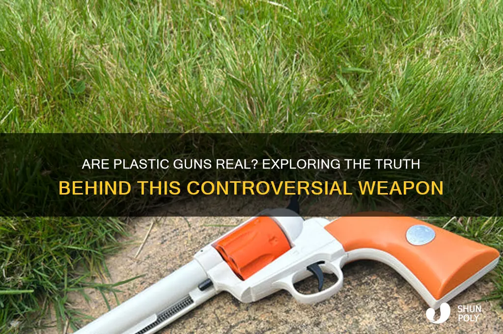 Are Plastic Guns Real? Exploring The Truth Behind This Controversial ...