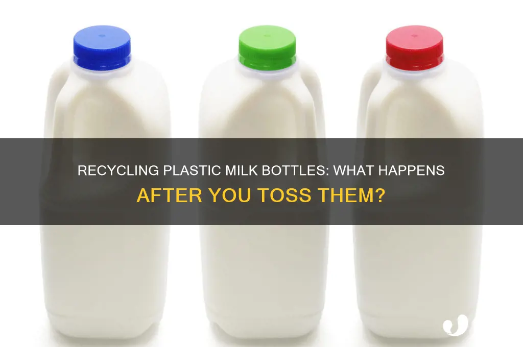 Recycling Plastic Milk Bottles: What Happens After You Toss Them ...