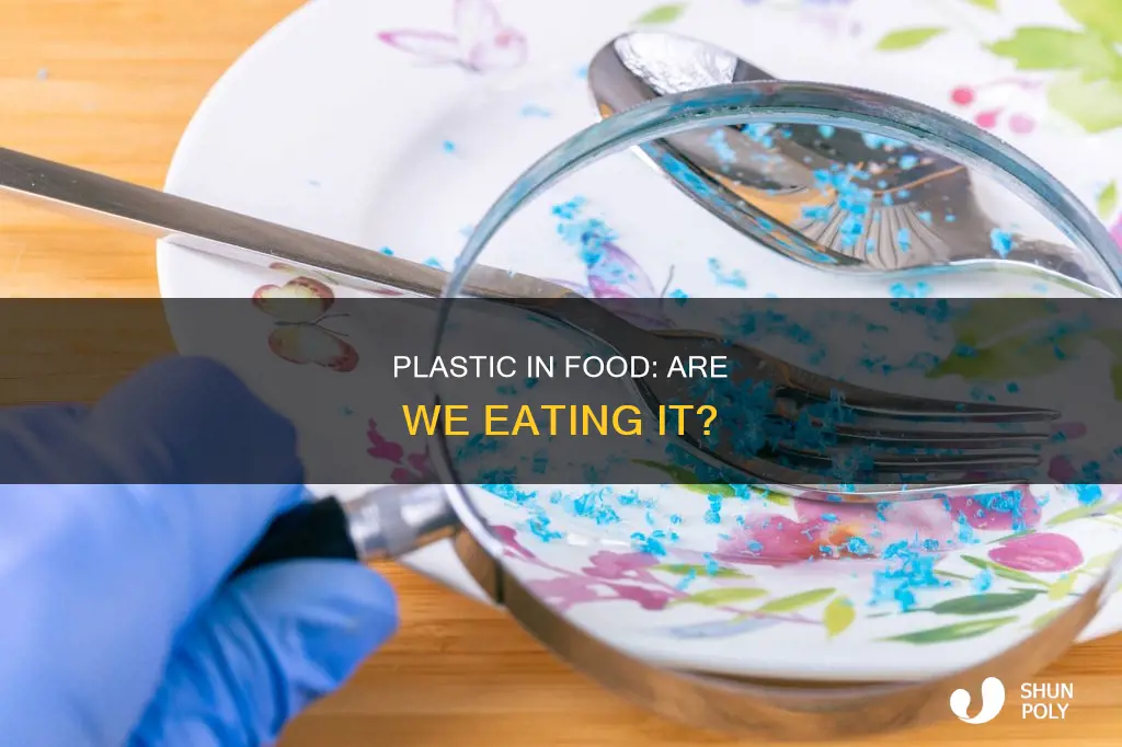 Plastic In Food: Are We Eating It? | ShunPoly