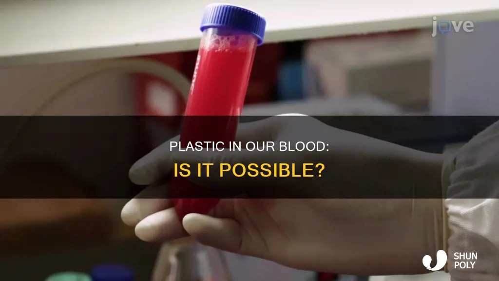 Plastic In Our Blood: Is It Possible? | ShunPoly