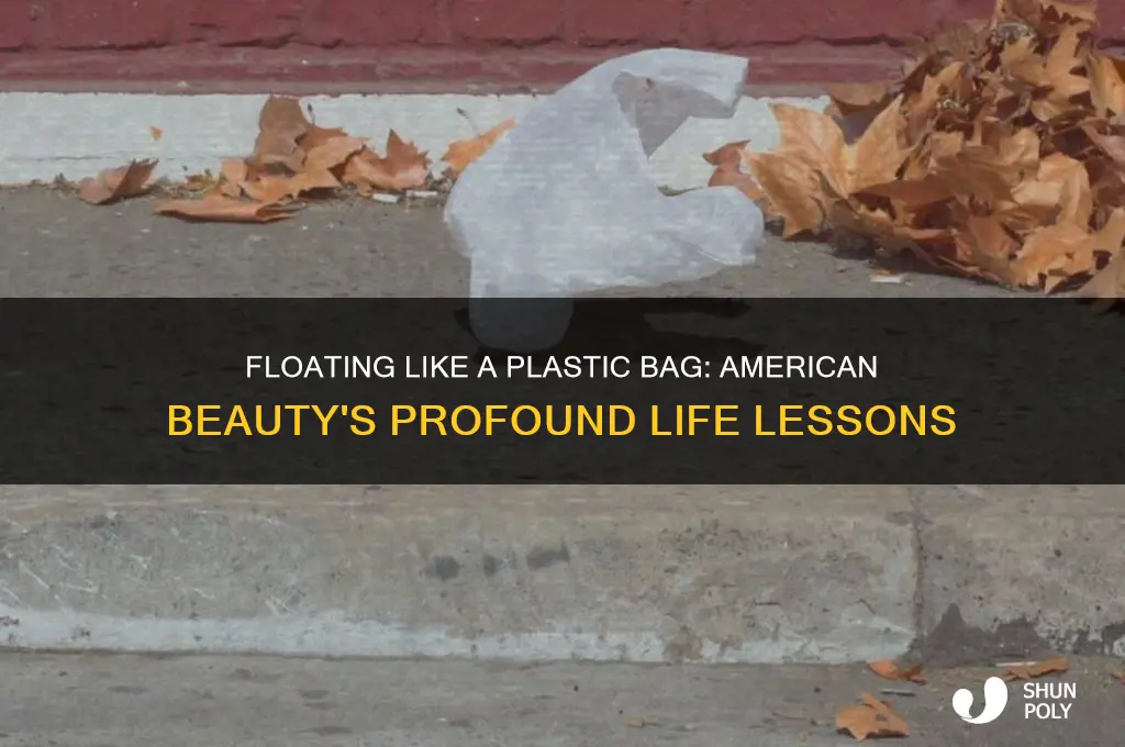 Floating Like A Plastic Bag: American Beauty's Profound Life Lessons ...