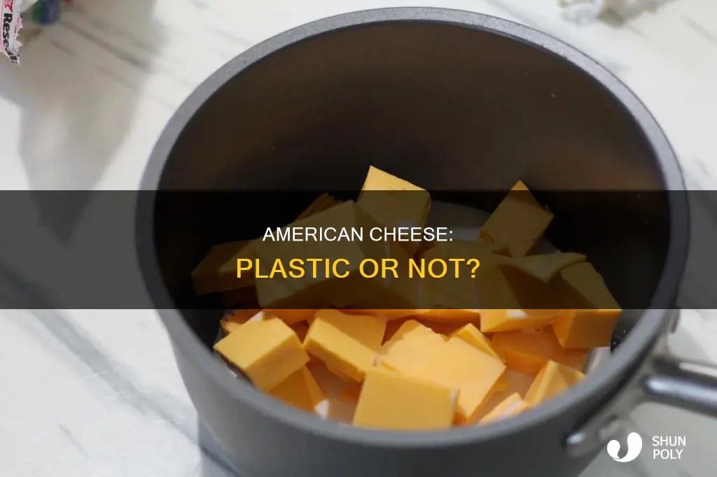 American Cheese: Plastic Or Not? | ShunPoly