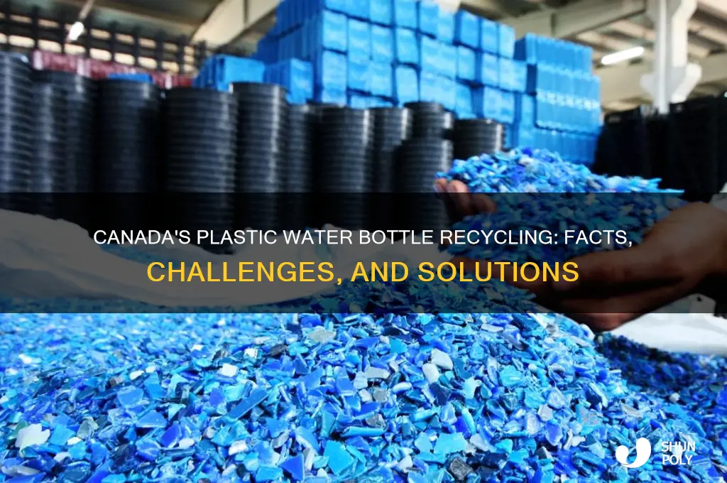 Canada's Plastic Water Bottle Recycling: Facts, Challenges, And ...