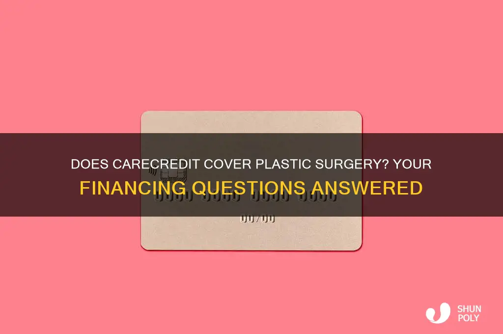 Does Carecredit Cover Plastic Surgery? Your Financing Questions ...