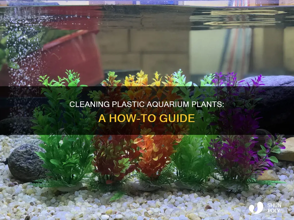 Cleaning Plastic Aquarium Plants: A How-To Guide | ShunPoly