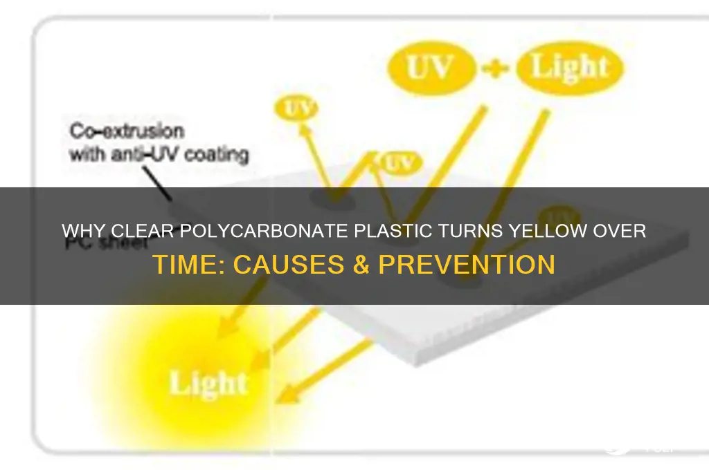 Why Clear Polycarbonate Plastic Turns Yellow Over Time: Causes ...