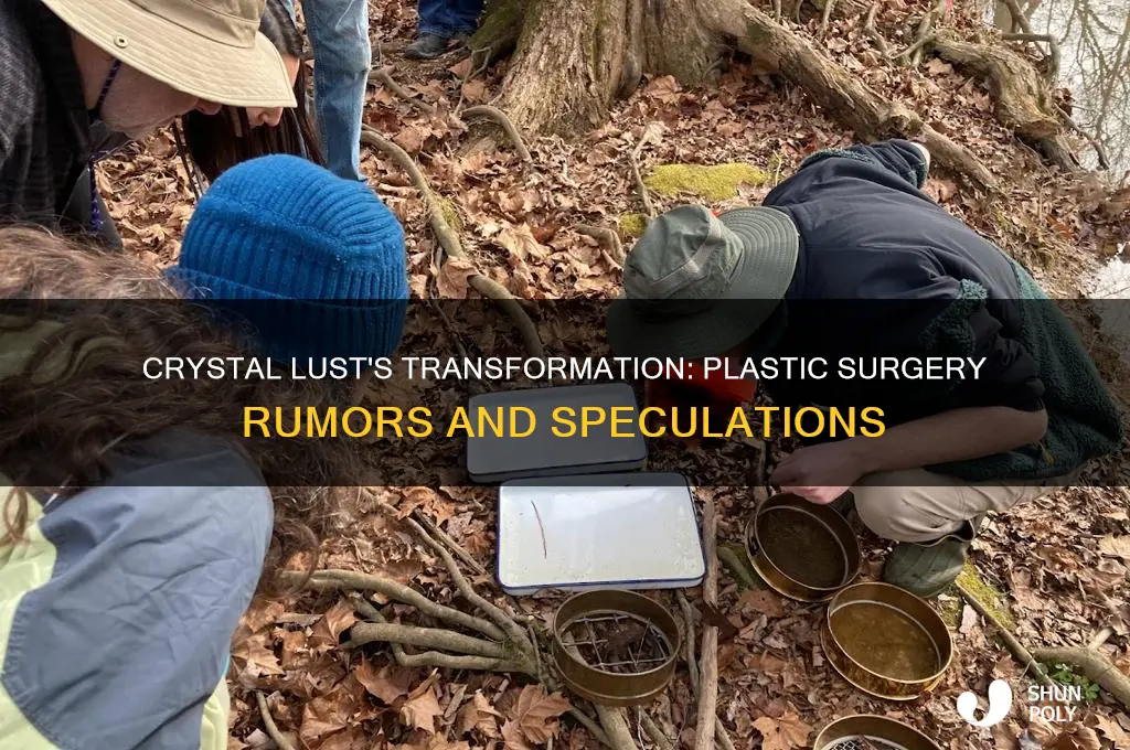 Crystal Lust's Transformation: Plastic Surgery Rumors And Speculations ...