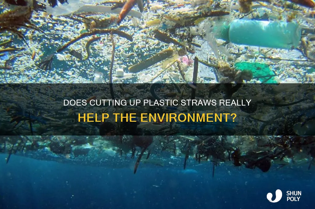 Does Cutting Up Plastic Straws Really Help The Environment? | ShunPoly