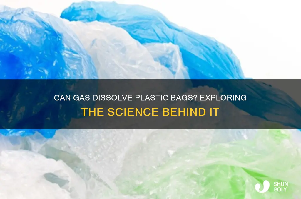 Can Gas Dissolve Plastic Bags? Exploring The Science Behind It | ShunPoly