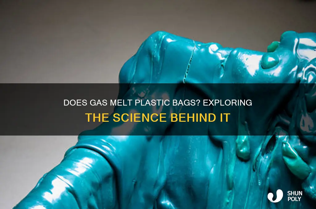 Does Gas Melt Plastic Bags? Exploring The Science Behind It | ShunPoly