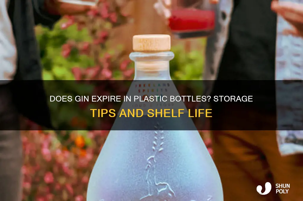 Does Gin Expire In Plastic Bottles? Storage Tips And Shelf Life | ShunPoly