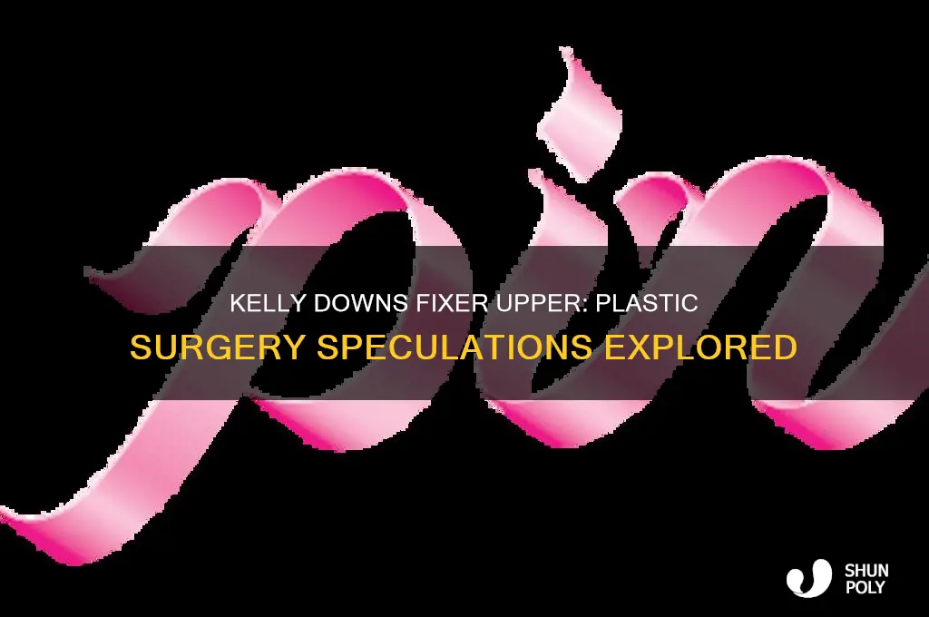 Kelly Downs Fixer Upper: Plastic Surgery Speculations Explored | ShunPoly