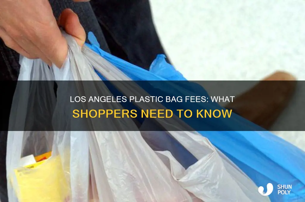 Los Angeles Plastic Bag Fees: What Shoppers Need To Know | ShunPoly