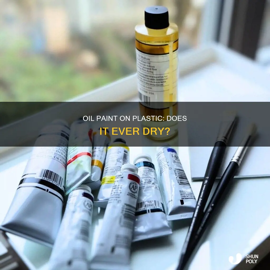 Oil Paint On Plastic: Does It Ever Dry? | ShunPoly
