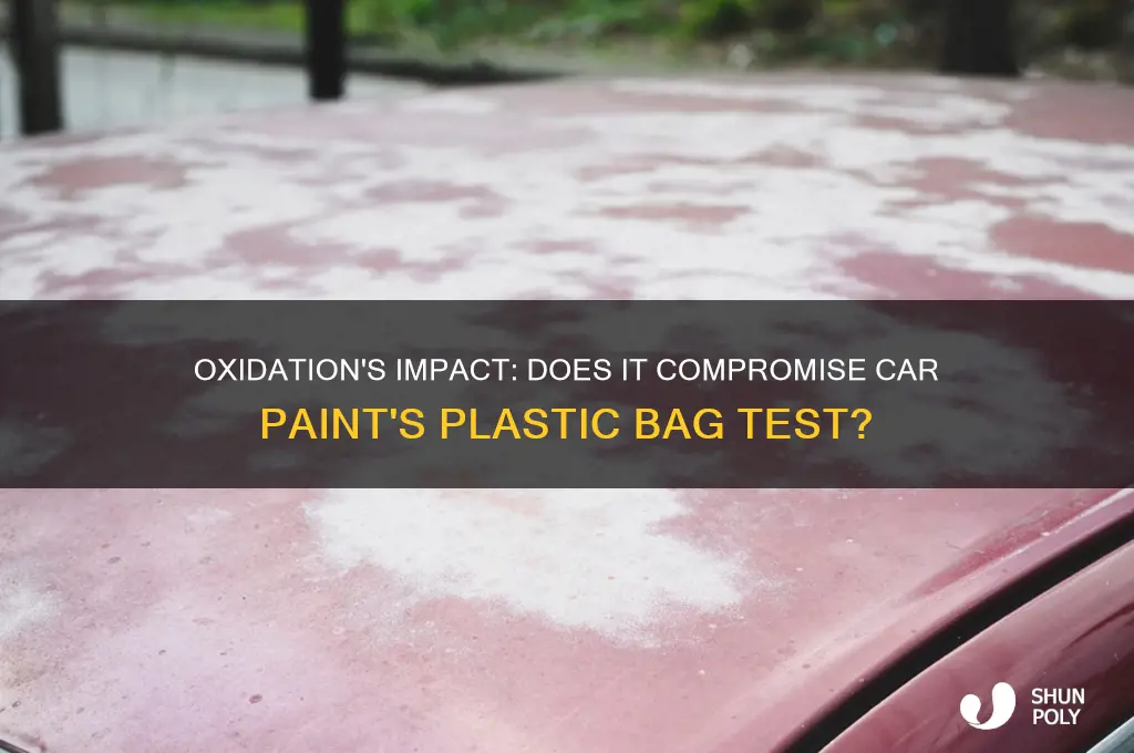 Oxidation's Impact: Does It Compromise Car Paint's Plastic Bag Test ...