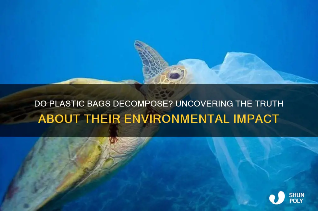Do Plastic Bags Decompose? Uncovering The Truth About Their ...