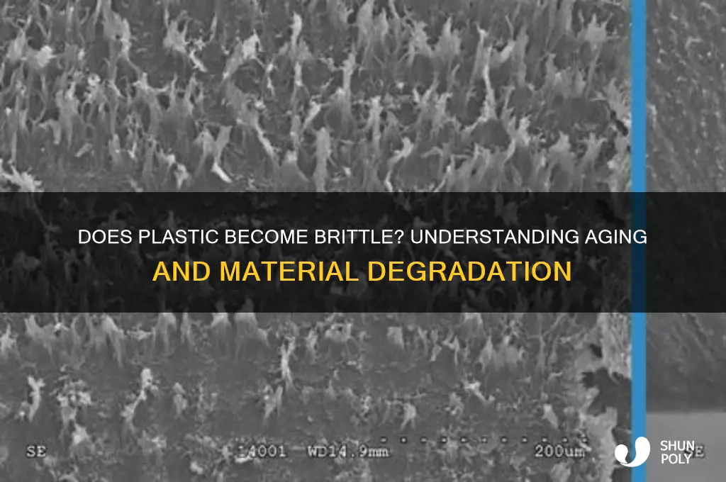 Does Plastic Become Brittle? Understanding Aging And Material ...