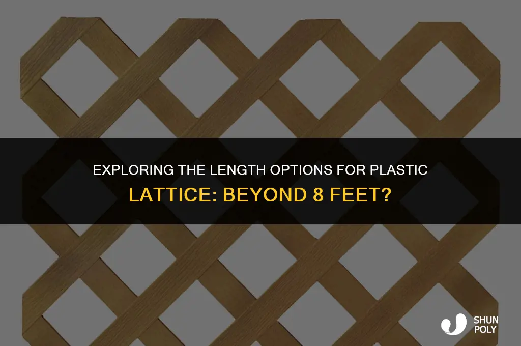 Exploring The Length Options For Plastic Lattice: Beyond 8 Feet? | ShunPoly