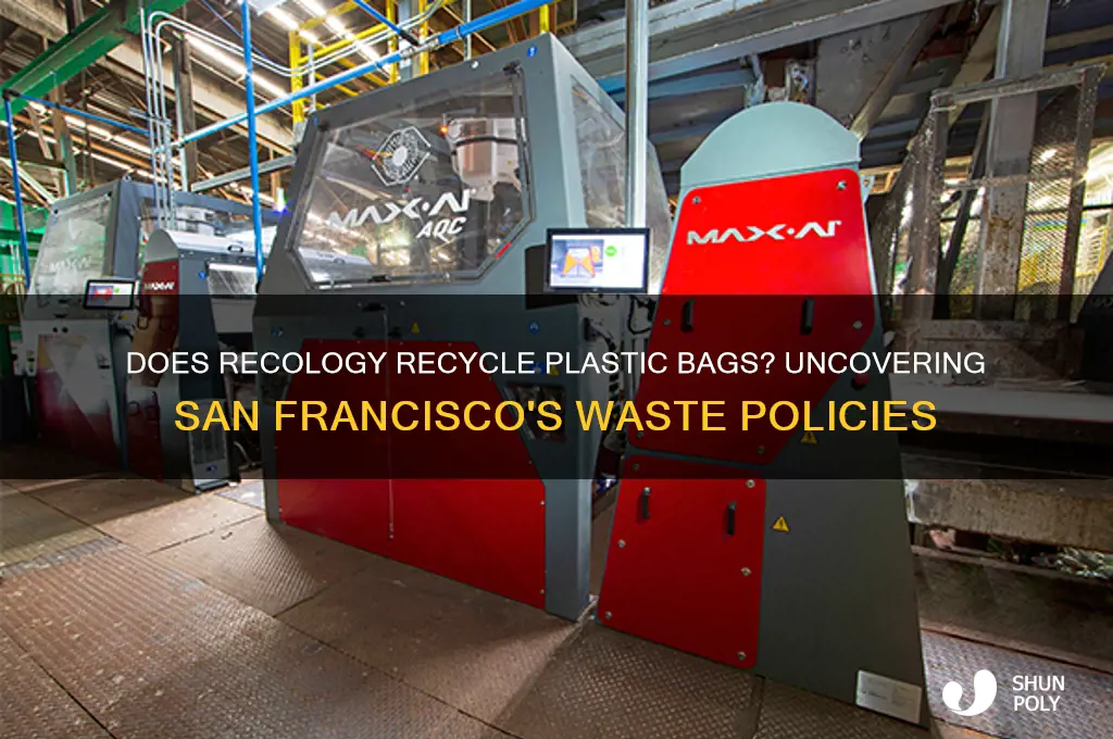 Does Recology Recycle Plastic Bags? Uncovering San Francisco's Waste ...