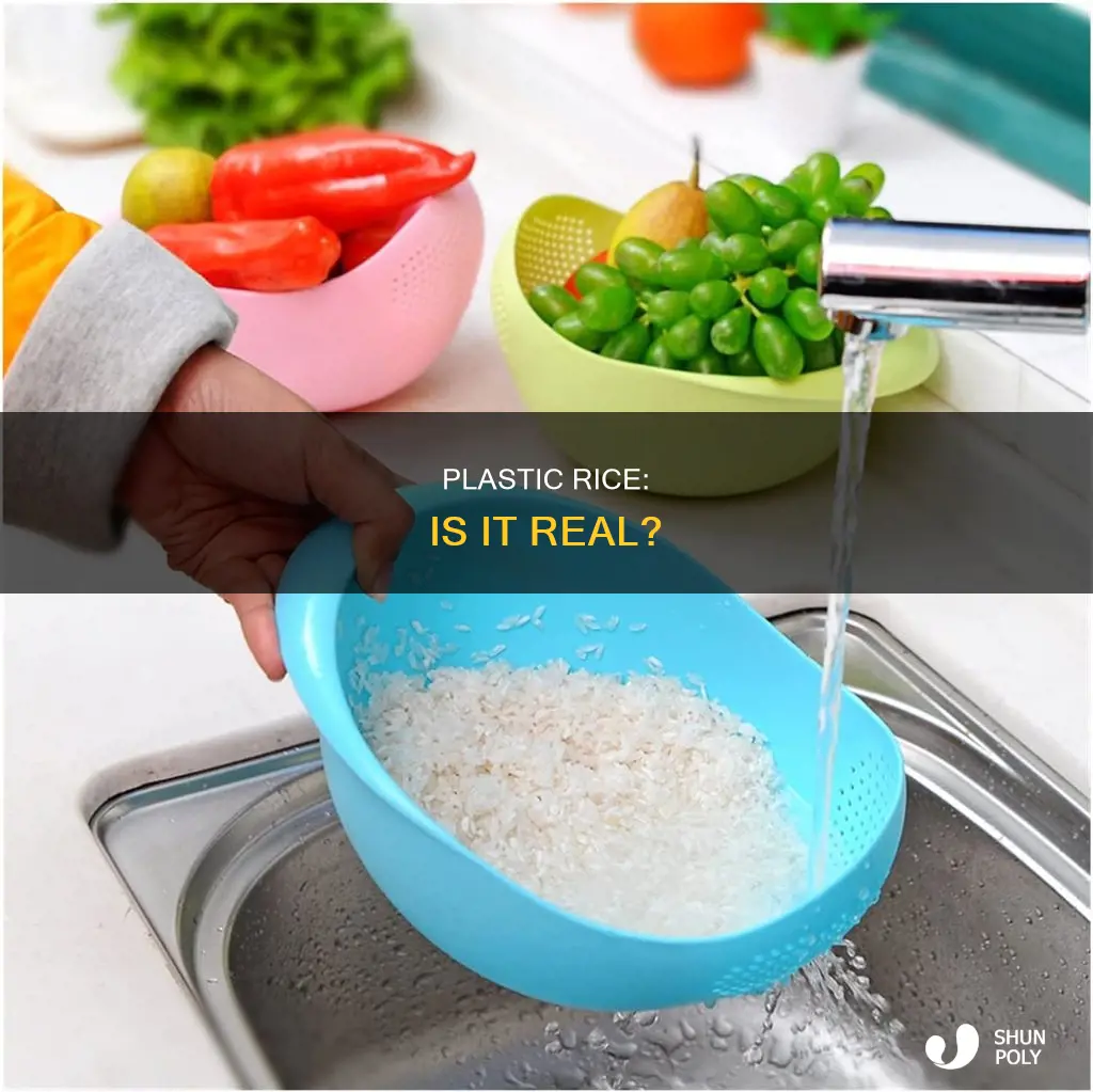 Plastic Rice: Is It Real? | ShunPoly