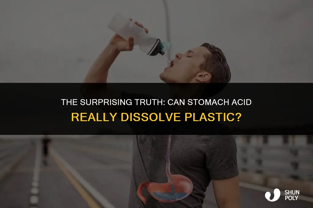The Surprising Truth: Can Stomach Acid Really Dissolve Plastic? | ShunPoly