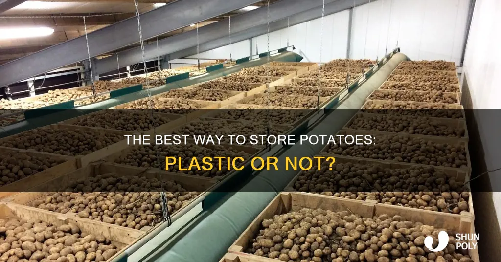 The Best Way To Store Potatoes: Plastic Or Not? | ShunPoly