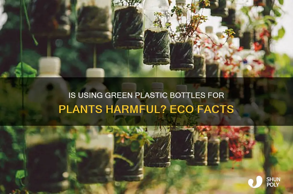 Is Using Green Plastic Bottles For Plants Harmful? Eco Facts | ShunPoly