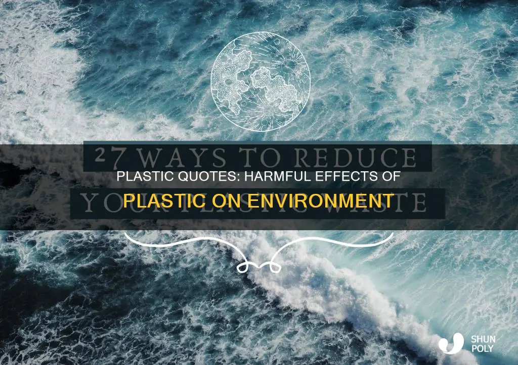 Plastic Quotes: Harmful Effects Of Plastic On Environment | ShunPoly