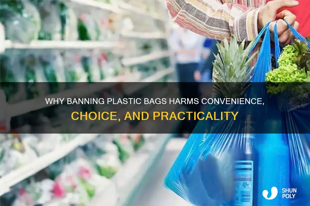 Why Banning Plastic Bags Harms Convenience, Choice, And Practicality ...