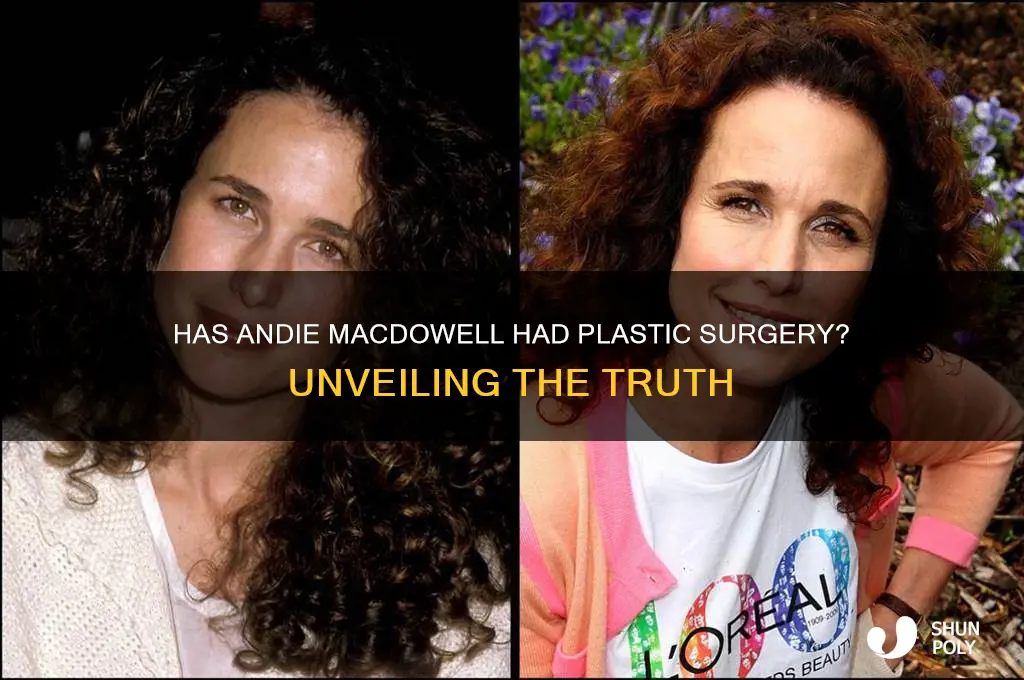 Has Andie Macdowell Had Plastic Surgery? Unveiling The Truth | ShunPoly