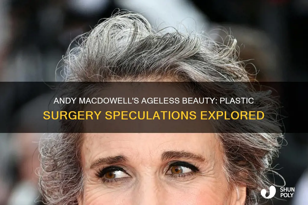 Andy Macdowell's Ageless Beauty: Plastic Surgery Speculations Explored ...