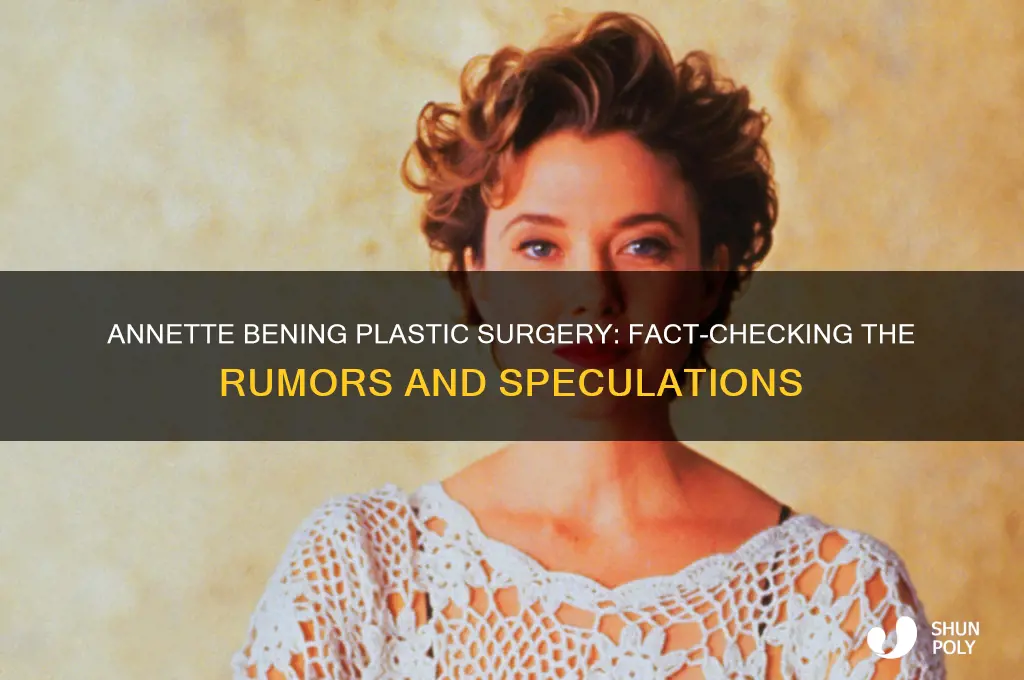 Annette Bening Plastic Surgery: Fact-Checking The Rumors And ...