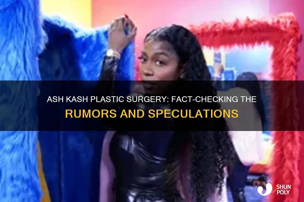 Ash Kash Plastic Surgery: Fact-Checking The Rumors And Speculations ...