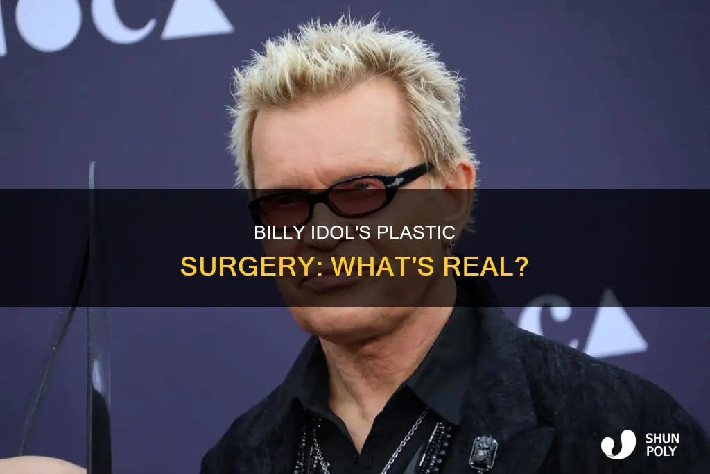 Billy Idol's Plastic Surgery: What's Real? | ShunPoly