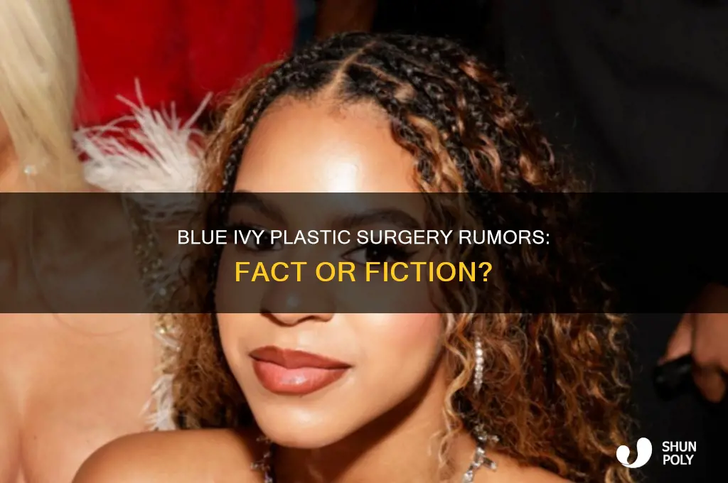 Blue Ivy Plastic Surgery Rumors: Fact Or Fiction? | ShunPoly