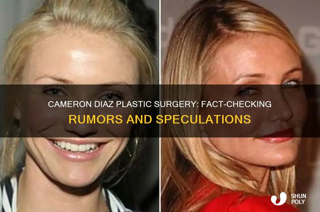Cameron Diaz Plastic Surgery: Fact-Checking Rumors And Speculations ...