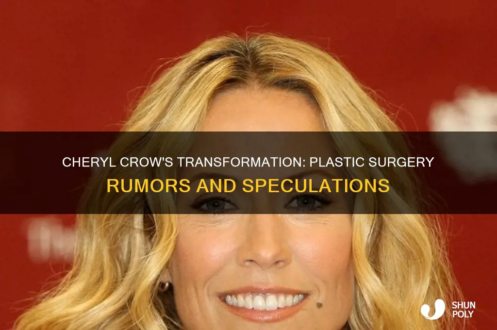 Cheryl Crow's Transformation: Plastic Surgery Rumors And Speculations ...