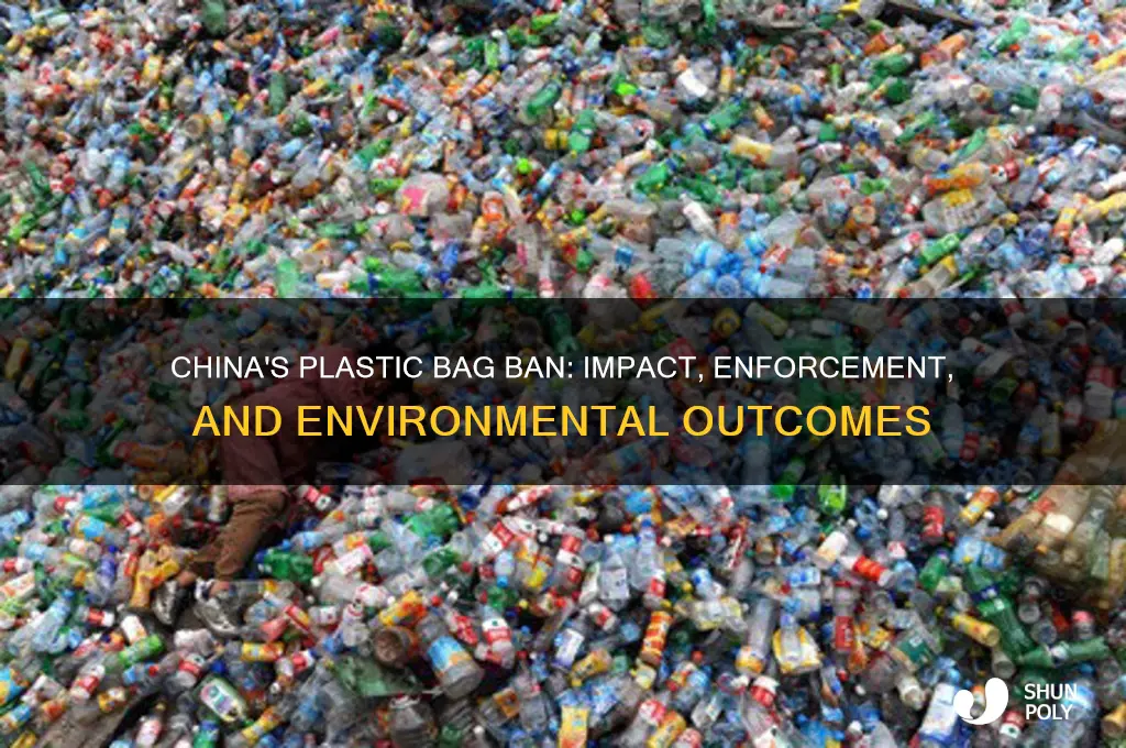 China's Plastic Bag Ban: Impact, Enforcement, And Environmental ...