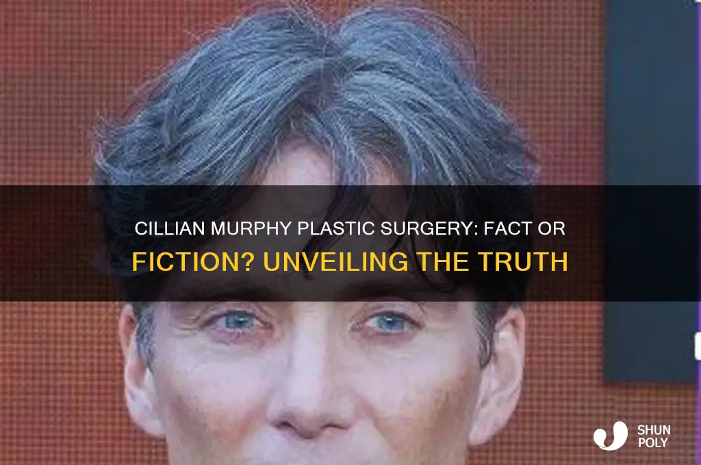Cillian Murphy Plastic Surgery: Fact Or Fiction? Unveiling The Truth ...