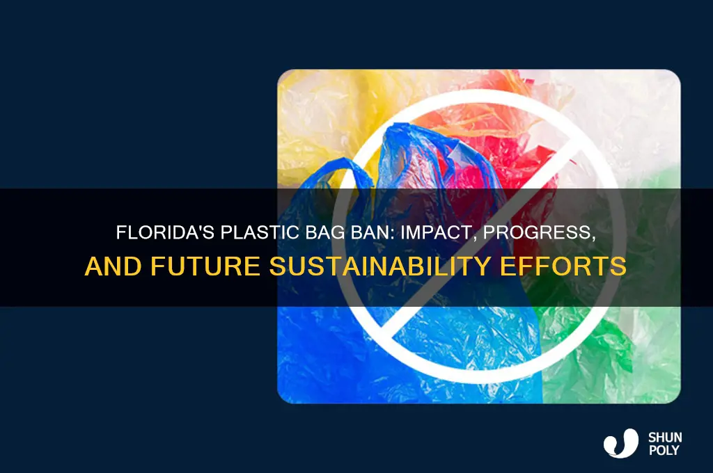 Florida's Plastic Bag Ban: Impact, Progress, And Future Sustainability ...