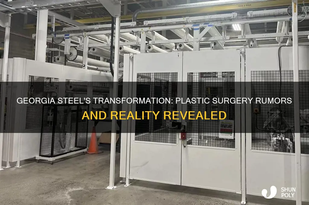 Georgia Steel's Transformation: Plastic Surgery Rumors And Reality ...