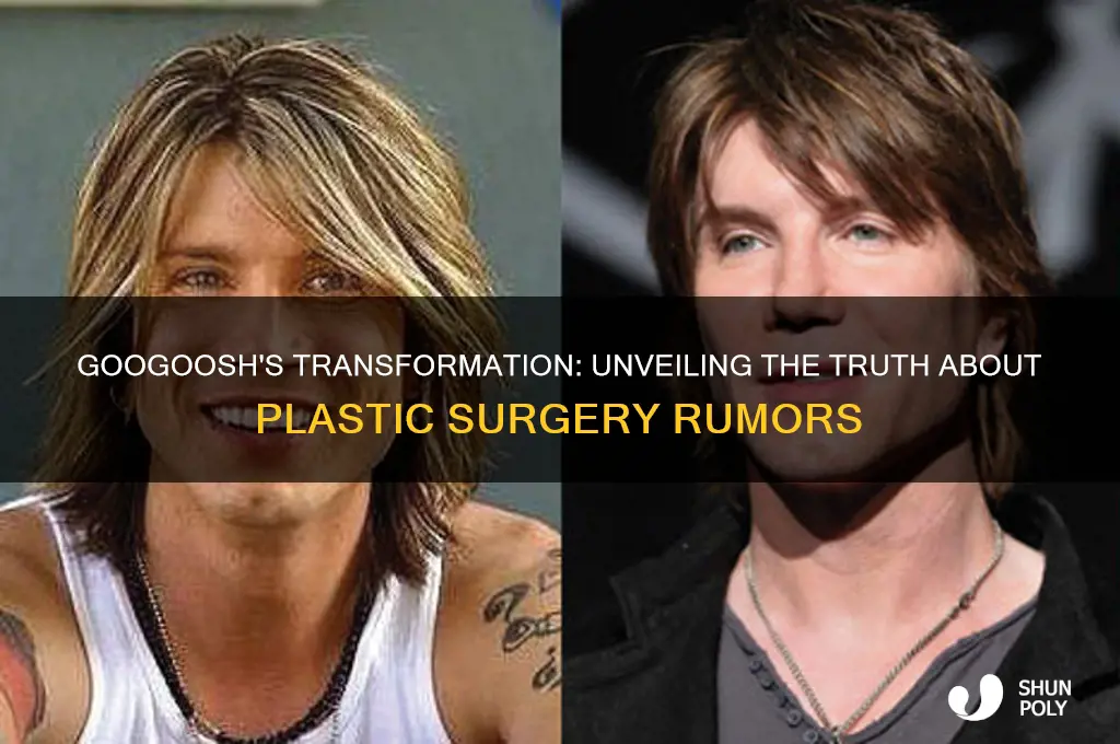 Googoosh's Transformation: Unveiling The Truth About Plastic Surgery ...