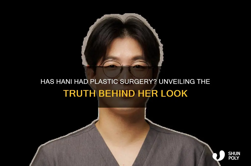Has Hani Had Plastic Surgery? Unveiling The Truth Behind Her Look ...
