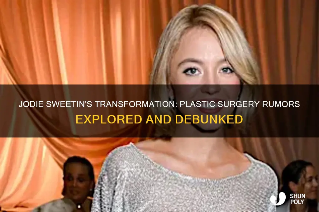 Jodie Sweetin's Transformation: Plastic Surgery Rumors Explored And ...