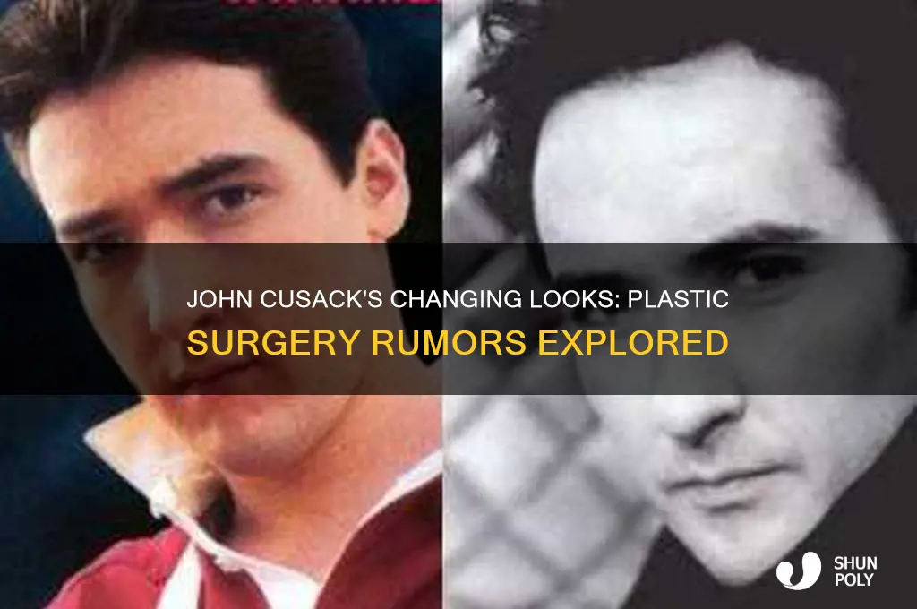 John Cusack's Changing Looks: Plastic Surgery Rumors Explored | ShunPoly