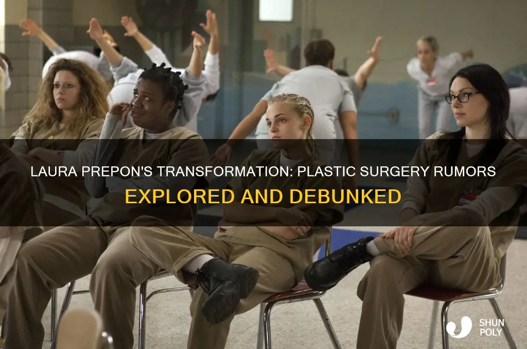 Laura Prepon's Transformation: Plastic Surgery Rumors Explored And ...